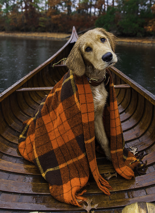 Canoodling - Classy Girls Wear Pearls